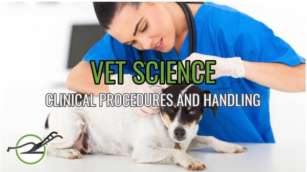 Vet Science CDE practicum videos on PLOW - One Less Thing