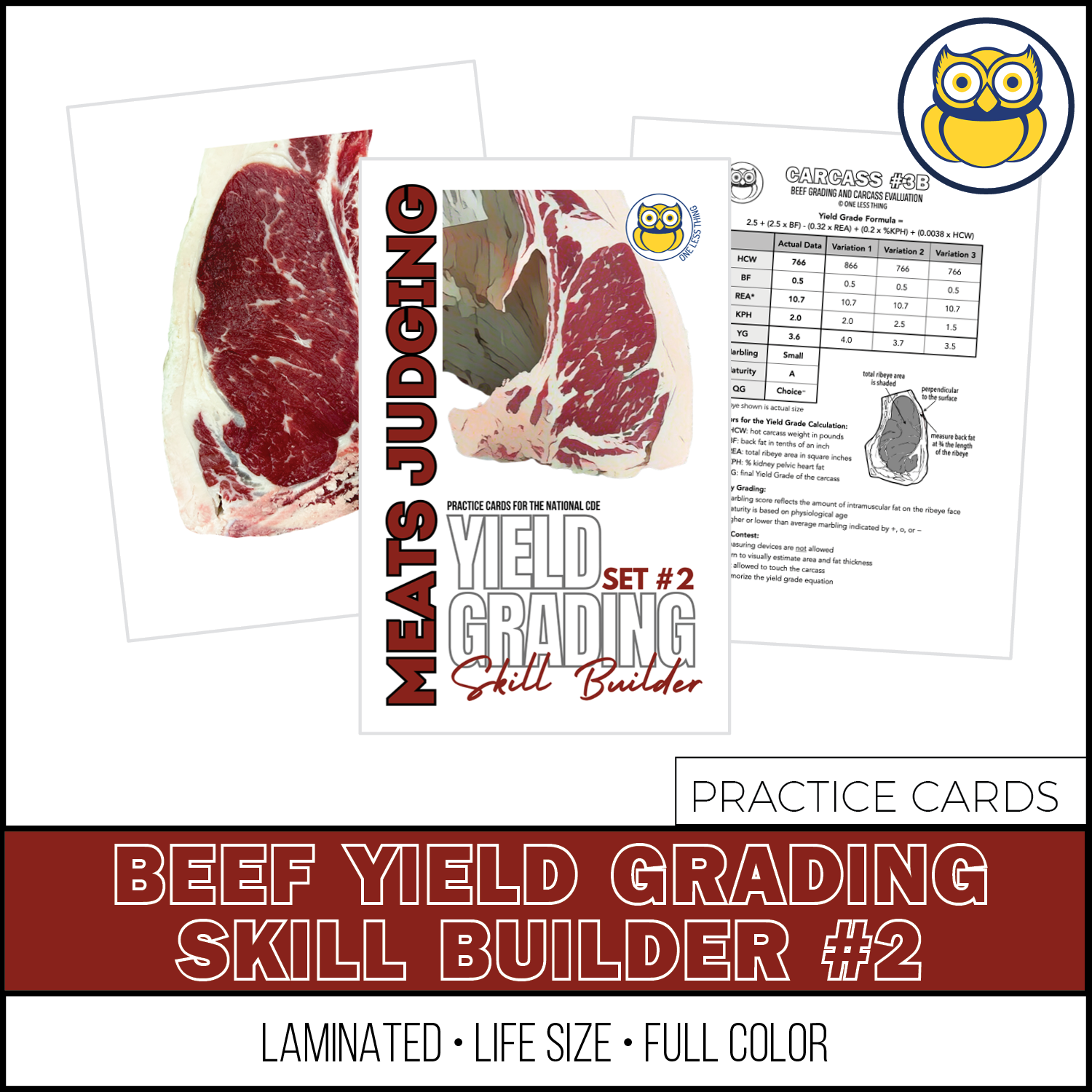 Beef Yield Grading, Skill Builder SET 2 – One Less Thing