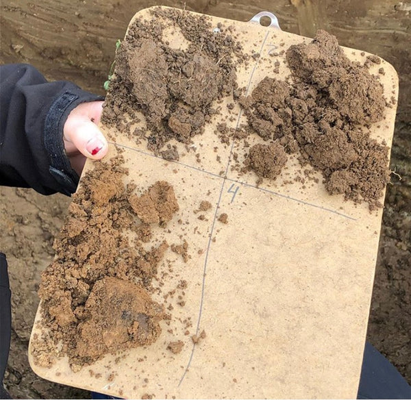 Land Judging Activity for Topsoil Evaluation - One Less Thing