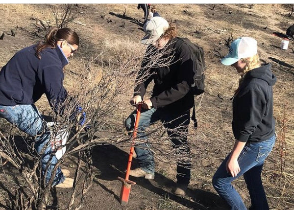 Community Service Ideas to Fit Your Community - One Less Thing