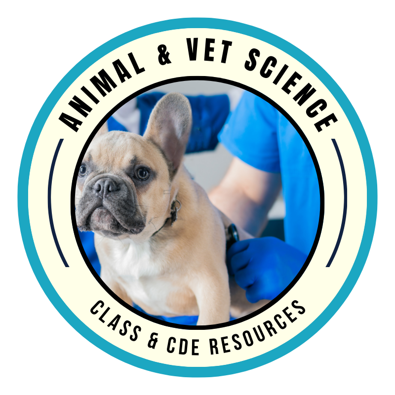 Animal Science – One Less Thing