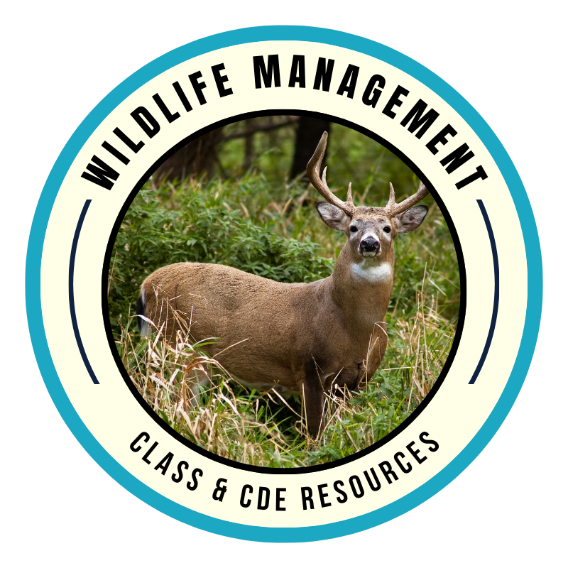 Wildlife – One Less Thing