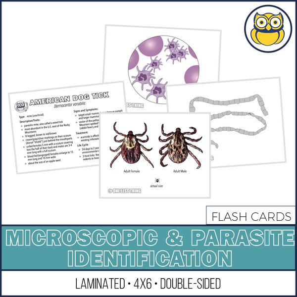 Vet Science Microscopic and Parasite ID, LAMINATED CARDS - One Less Thing