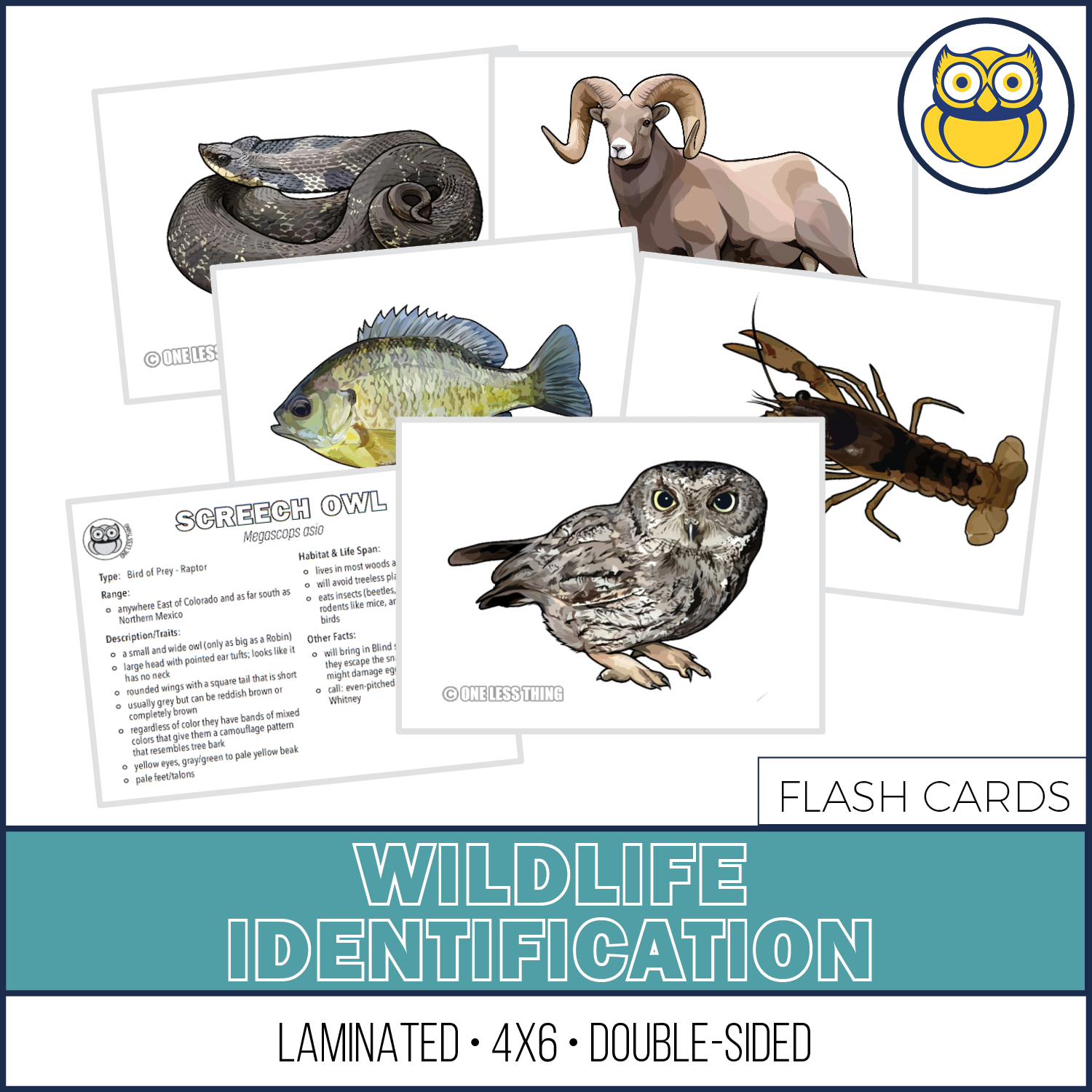 Wildlife Identification, LAMINATED CARDS – One Less Thing