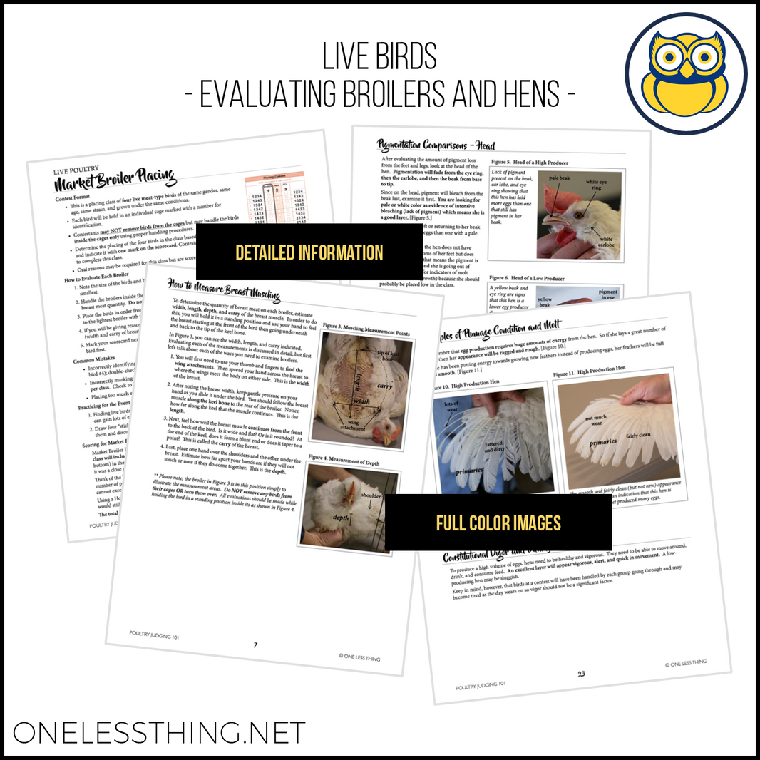 Poultry Judging 101 CDE Handbook – One Less Thing