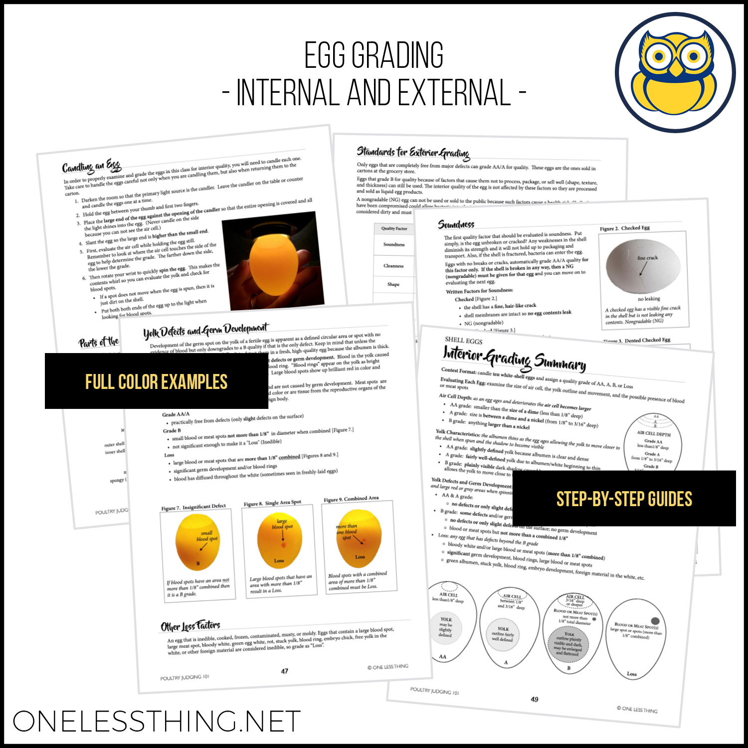 Poultry Judging 101 CDE Handbook – One Less Thing