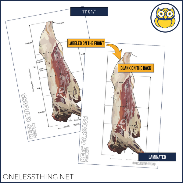 Meats Judging Carcass Anatomy, 5 Poster Set - One Less Thing