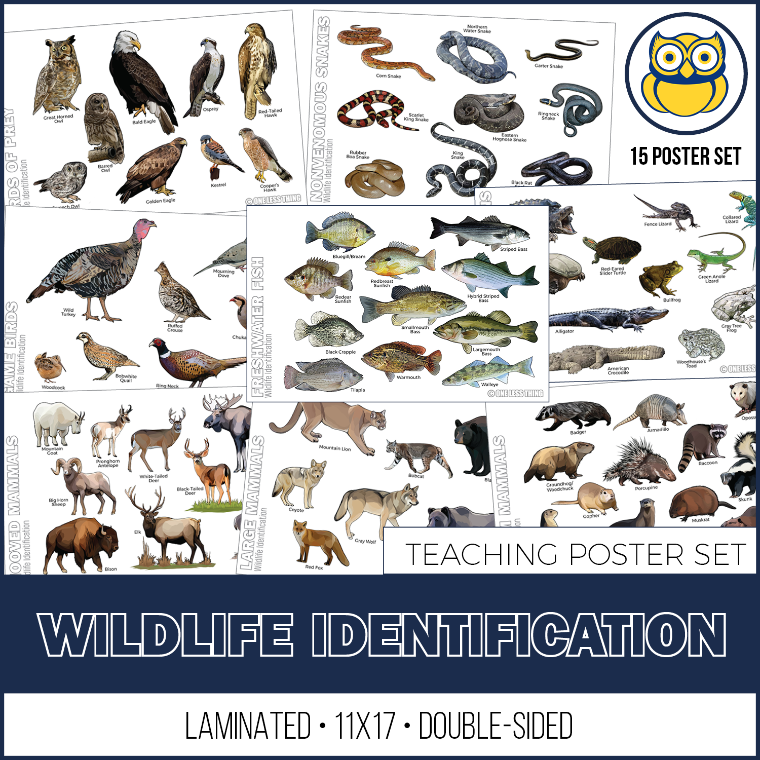 Wildlife Identification Posters, Set of 15 – One Less Thing