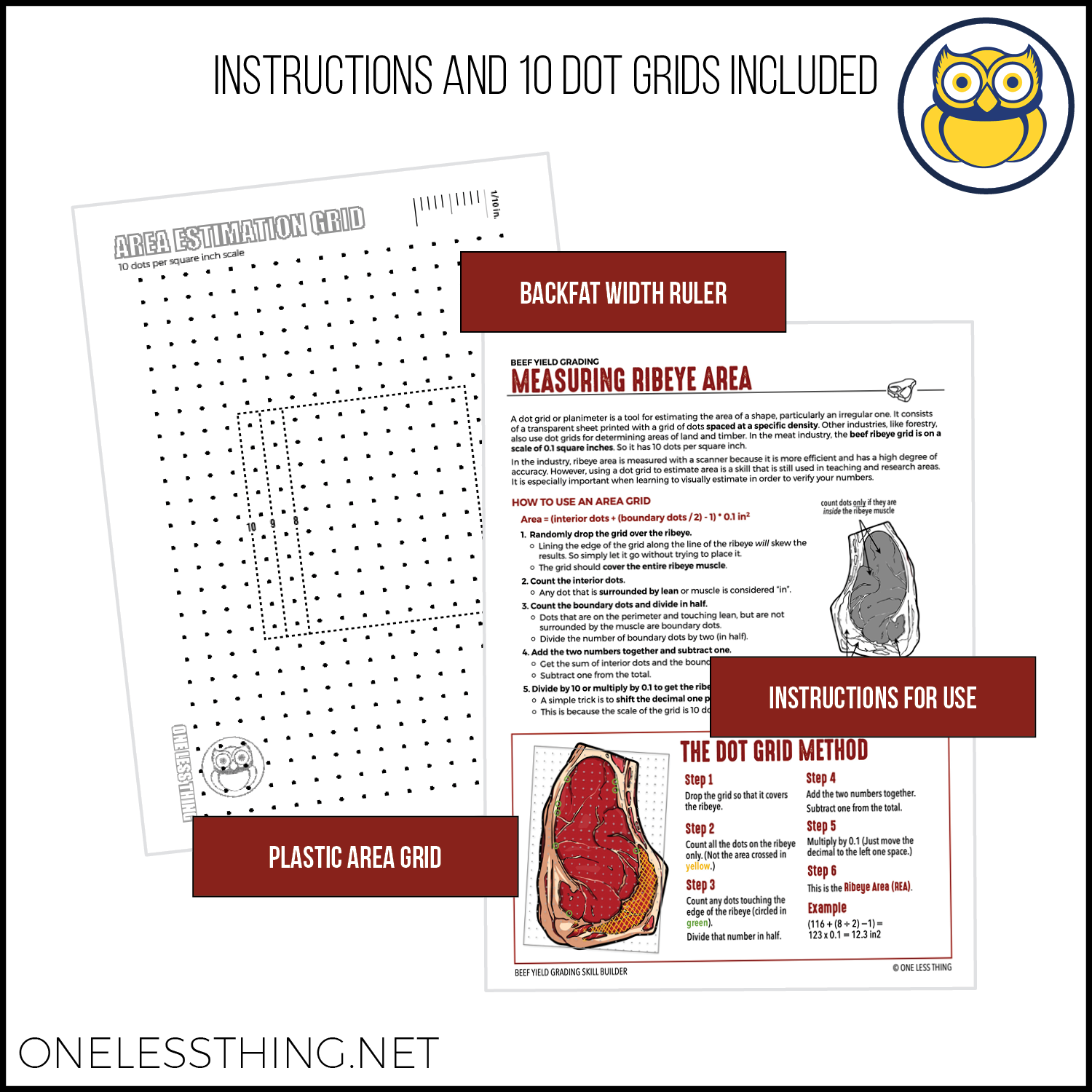 Beef Yield Grading, Dot Grid SET of 10 - One Less Thing