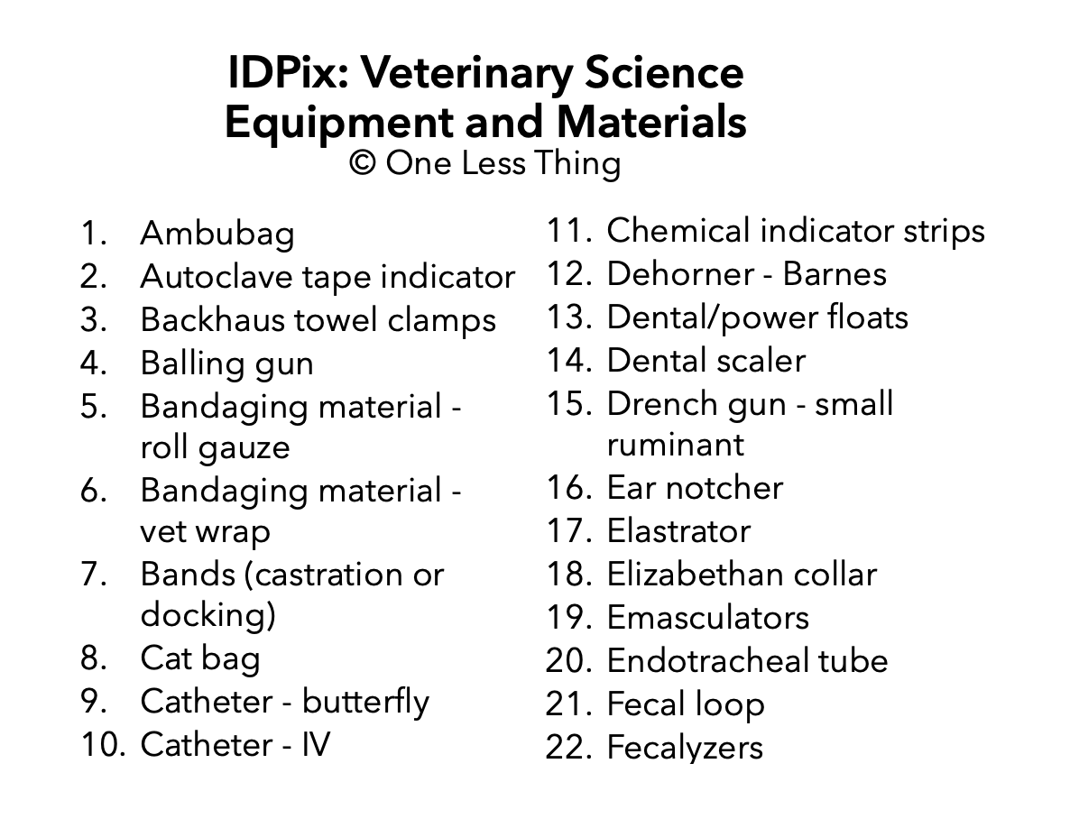 Veterinary Tools and Equipment ID, IDPix Cards - One Less Thing