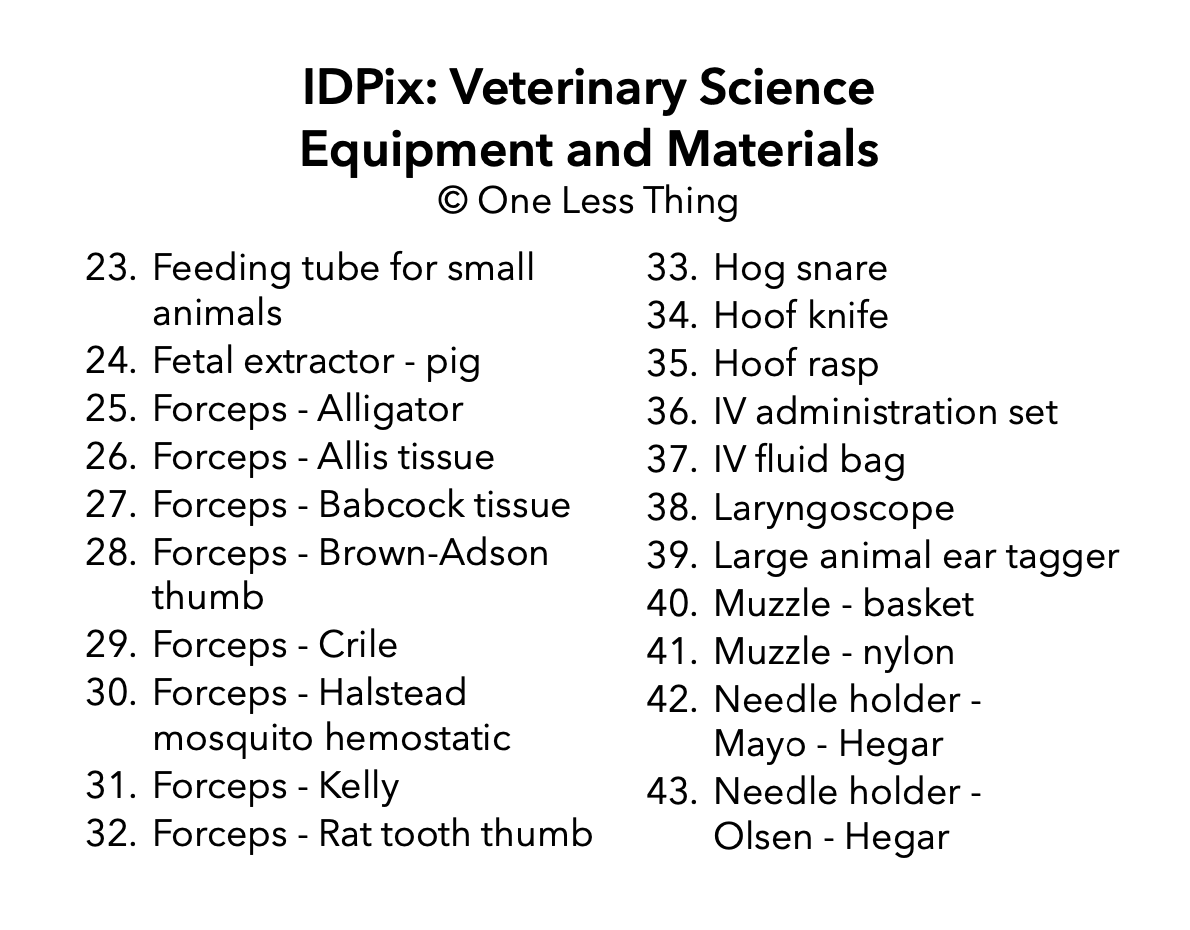 Veterinary Tools and Equipment ID, IDPix Cards - One Less Thing