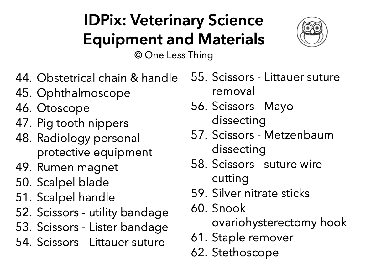 Veterinary Tools and Equipment ID, IDPix Cards - One Less Thing