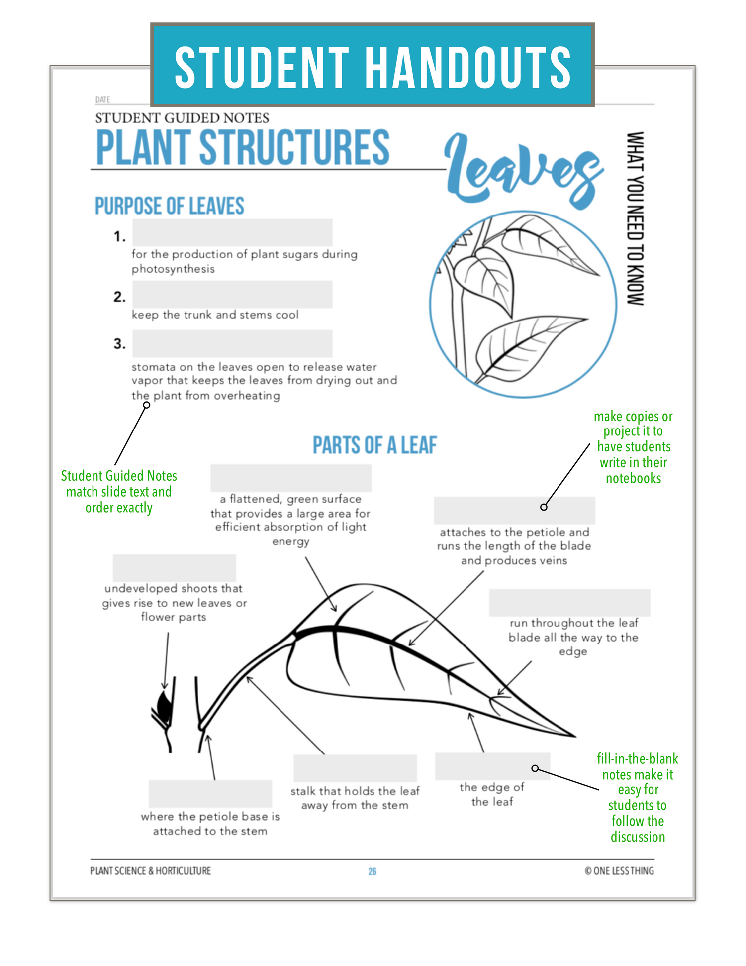 CCPLT03.2 Plant Structures, Plant Science Complete Curriculum – One ...