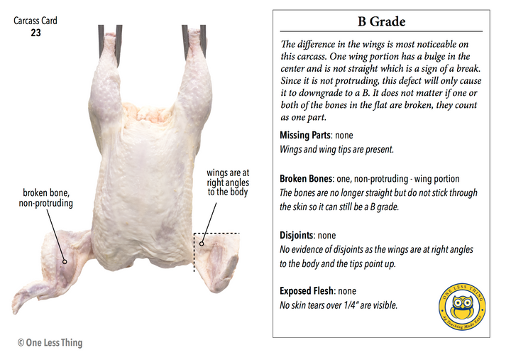 Poultry Carcass Grading (Newly Revised), IDPix Cards – One Less Thing