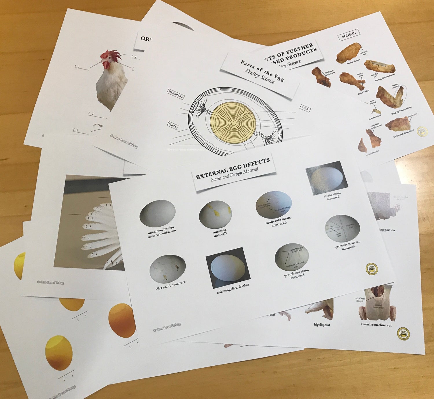 Poultry Science Posters, Set of 11 – One Less Thing