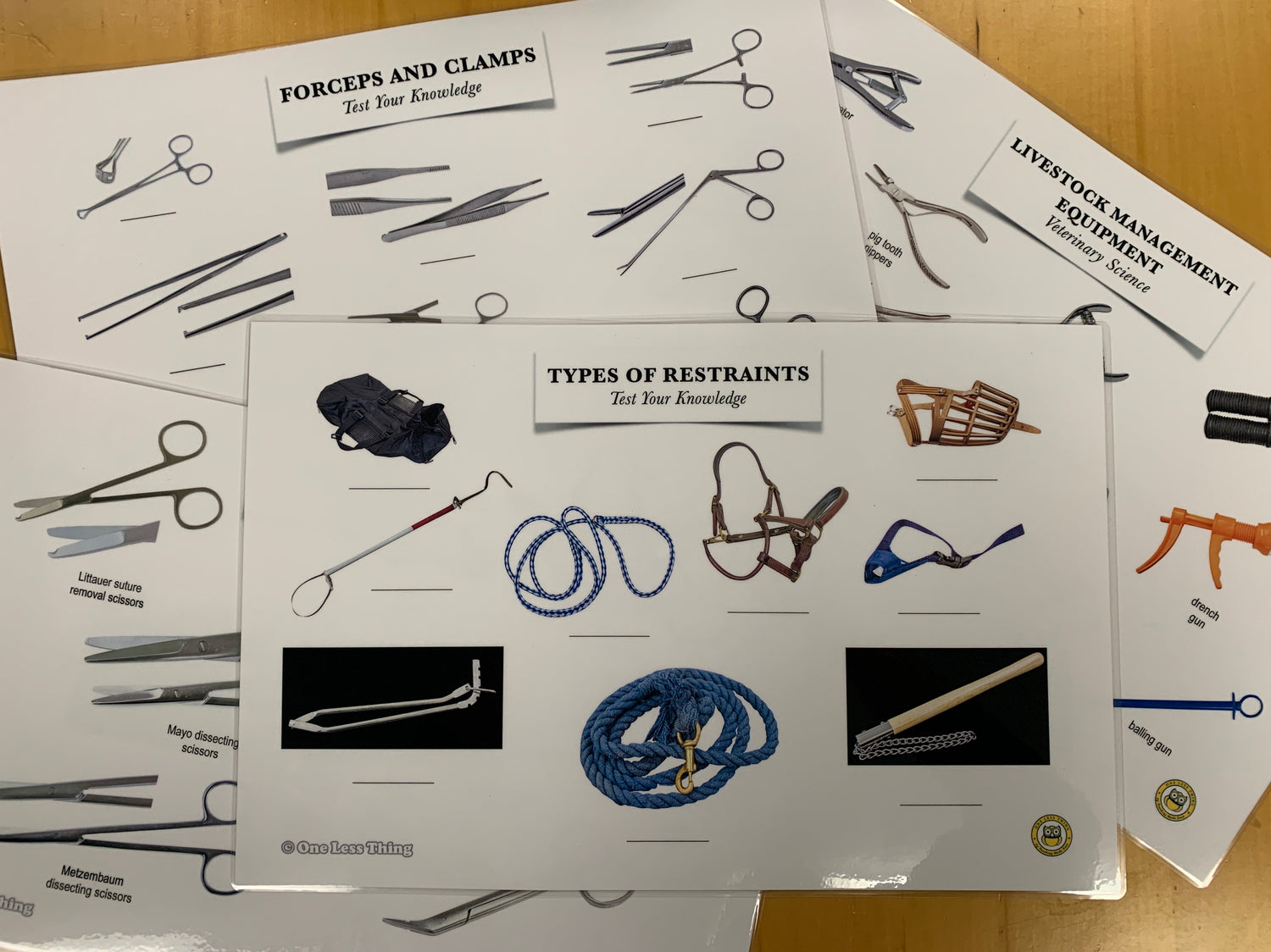 Veterinary Science Tools and Materials Posters, Set of 4 – One Less Thing