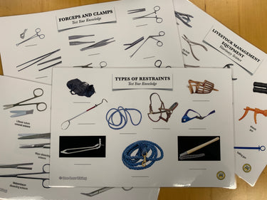 Veterinary Science Tools and Materials Posters, Set of 4 – One Less Thing