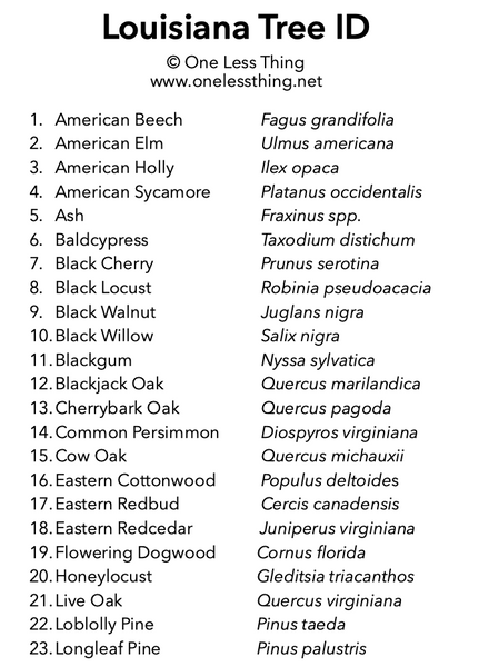 Louisiana Tree ID, IDPix Cards - One Less Thing
