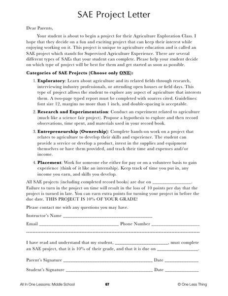 6-06 What is an SAE, Lesson Plan Download - One Less Thing