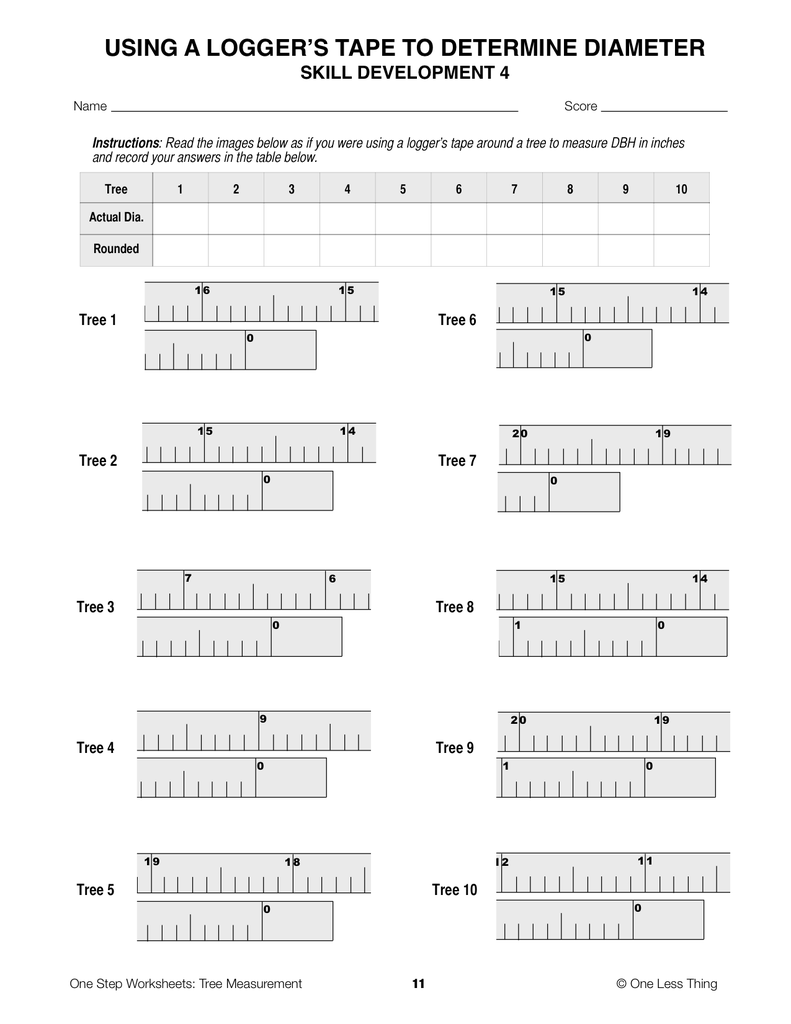 Tree Measurement, One Step Worksheet Downloads - One Less Thing