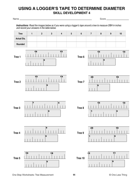 Tree Measurement, One Step Worksheet Downloads - One Less Thing