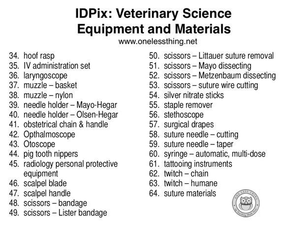 Veterinarian Tools List