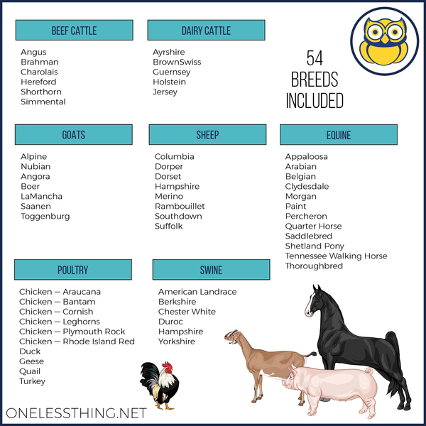 Livestock Breed ID, Laminated Cards - One Less Thing