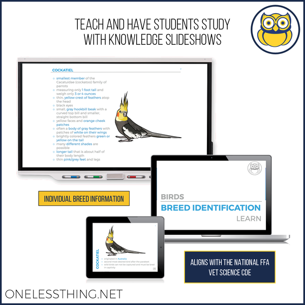 Small Animal Breed ID, PowerPoint Download - One Less Thing