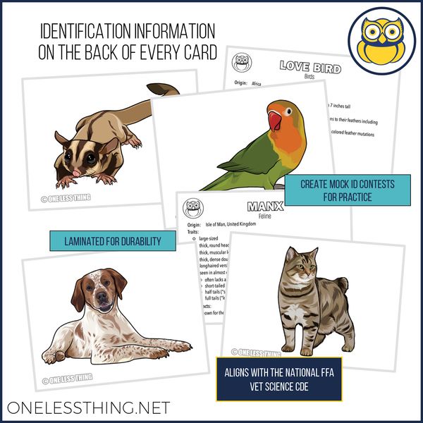 Small Animal Breed ID, Laminated Cards - One Less Thing