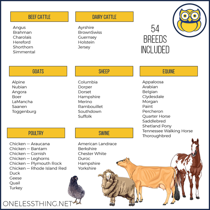 Livestock Breed ID, PowerPoint Download – One Less Thing