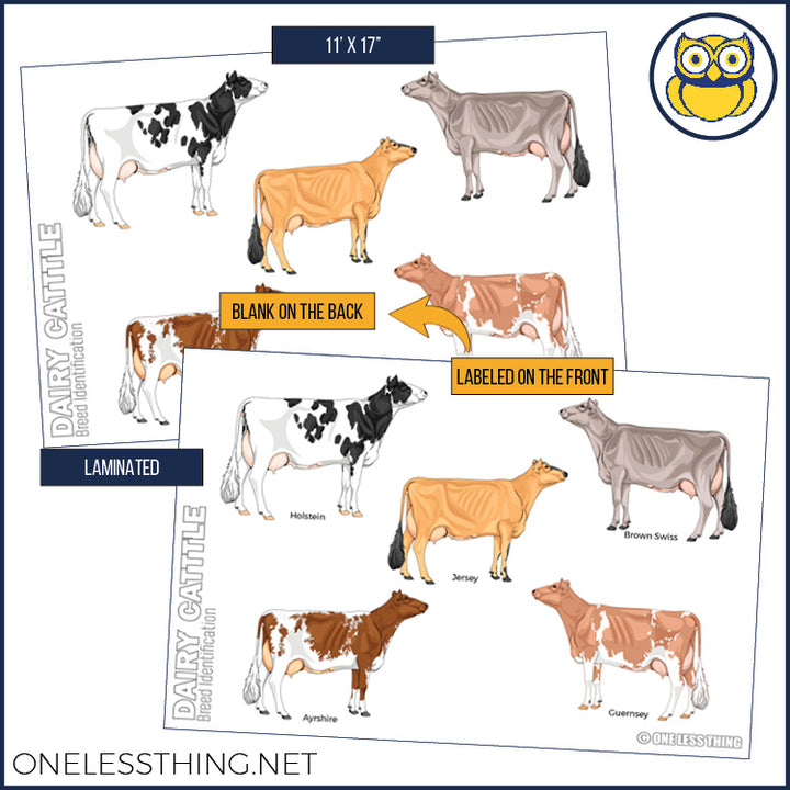 Livestock Breeds Posters, Set of 7 – One Less Thing