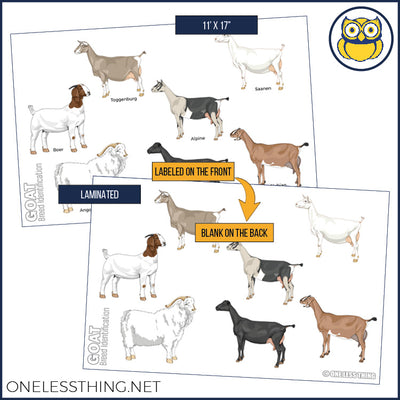 Livestock Breeds Posters, Set of 7 – One Less Thing